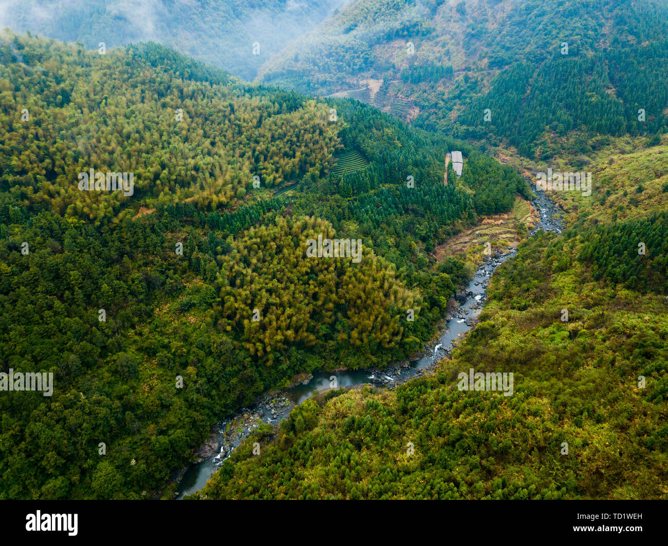 Rivers and scenic trees and coasts hi-res stock photography and images ...