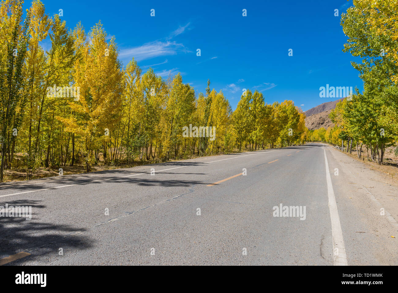 Autumn in Tibet Stock Photo - Alamy