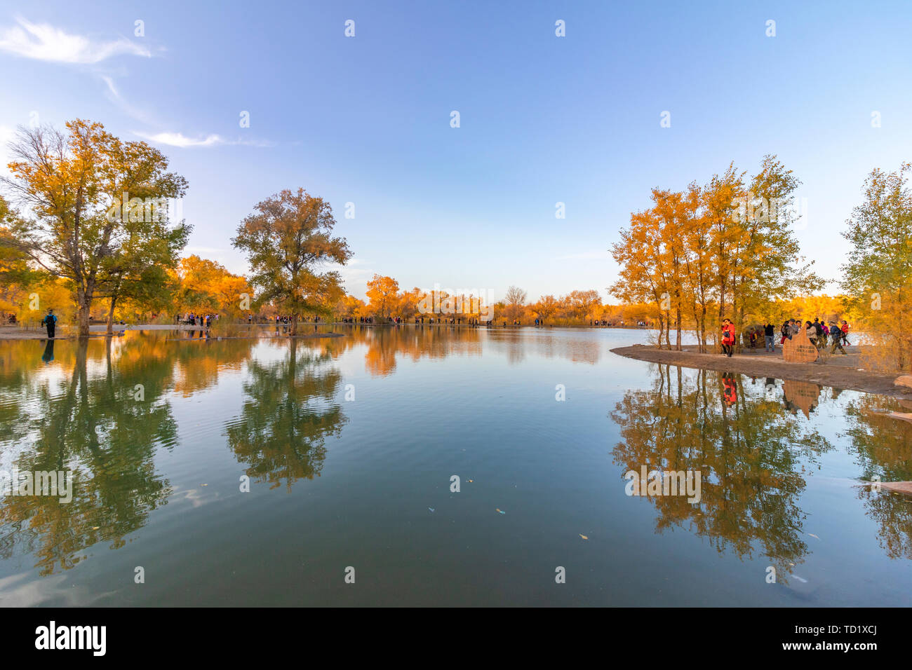 Jiuquan Jinta Hu Yang Lin Stock Photo - Alamy
