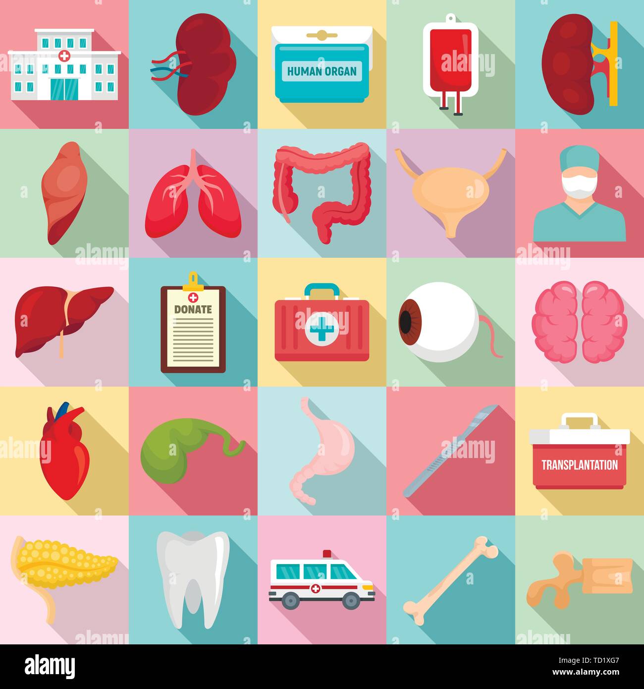 Donate organs icons set. Flat set of donate organs vector icons for web ...