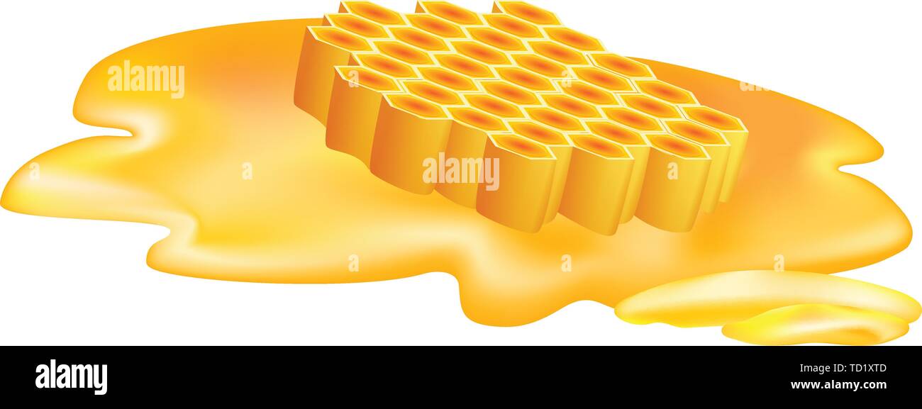 Honey cell icon. Cartoon of honey cell vector icon for web design ...