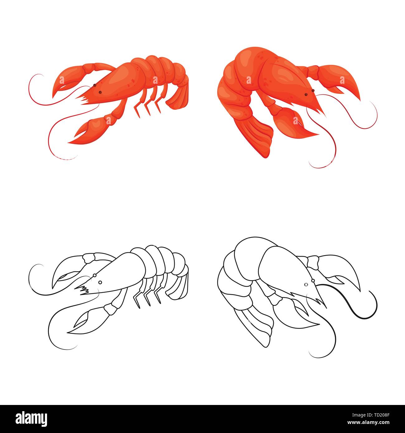 lobster,red,boiled,fresh,aquatic,underwater,beach,cooked,restaurant ...