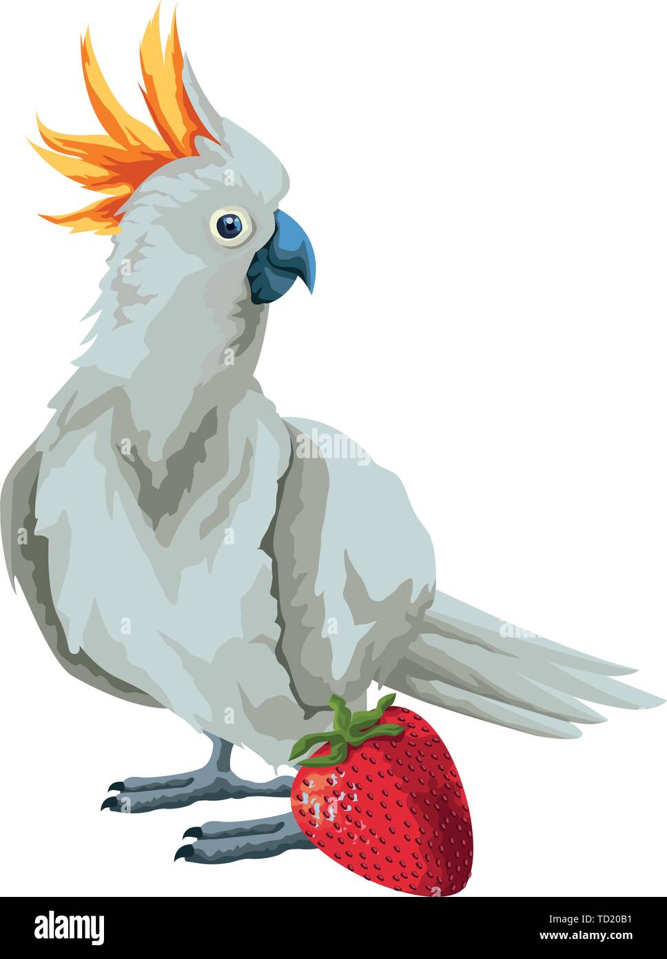 parrot wild cockatoo icon cartoon Stock Vector Image & Art - Alamy