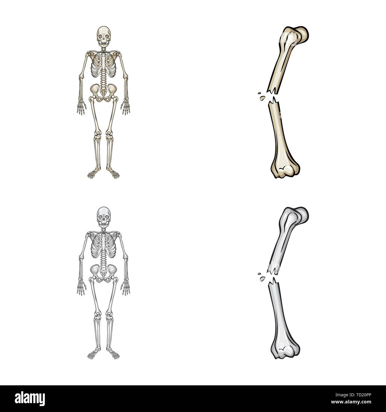 musculoskeletal,fracture,scientific,pain,skeletal,bias,system,injury ...