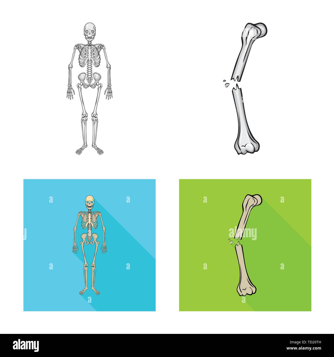 musculoskeletal,fracture,scientific,pain,skeletal,bias,system,injury ...