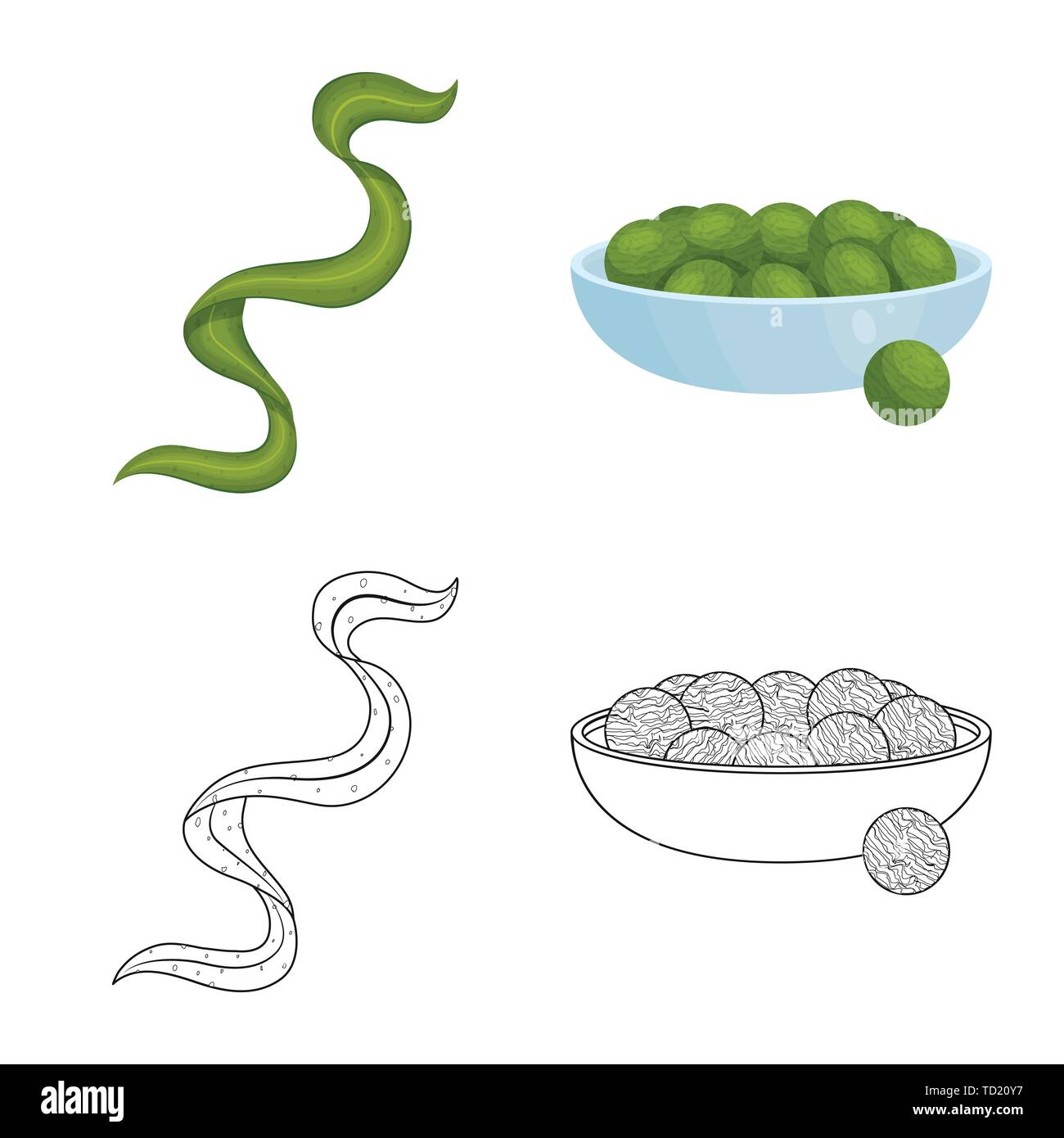 algae,aquaculture,spiral,platensis,vegetable,fresh,energy,green,ocean ...