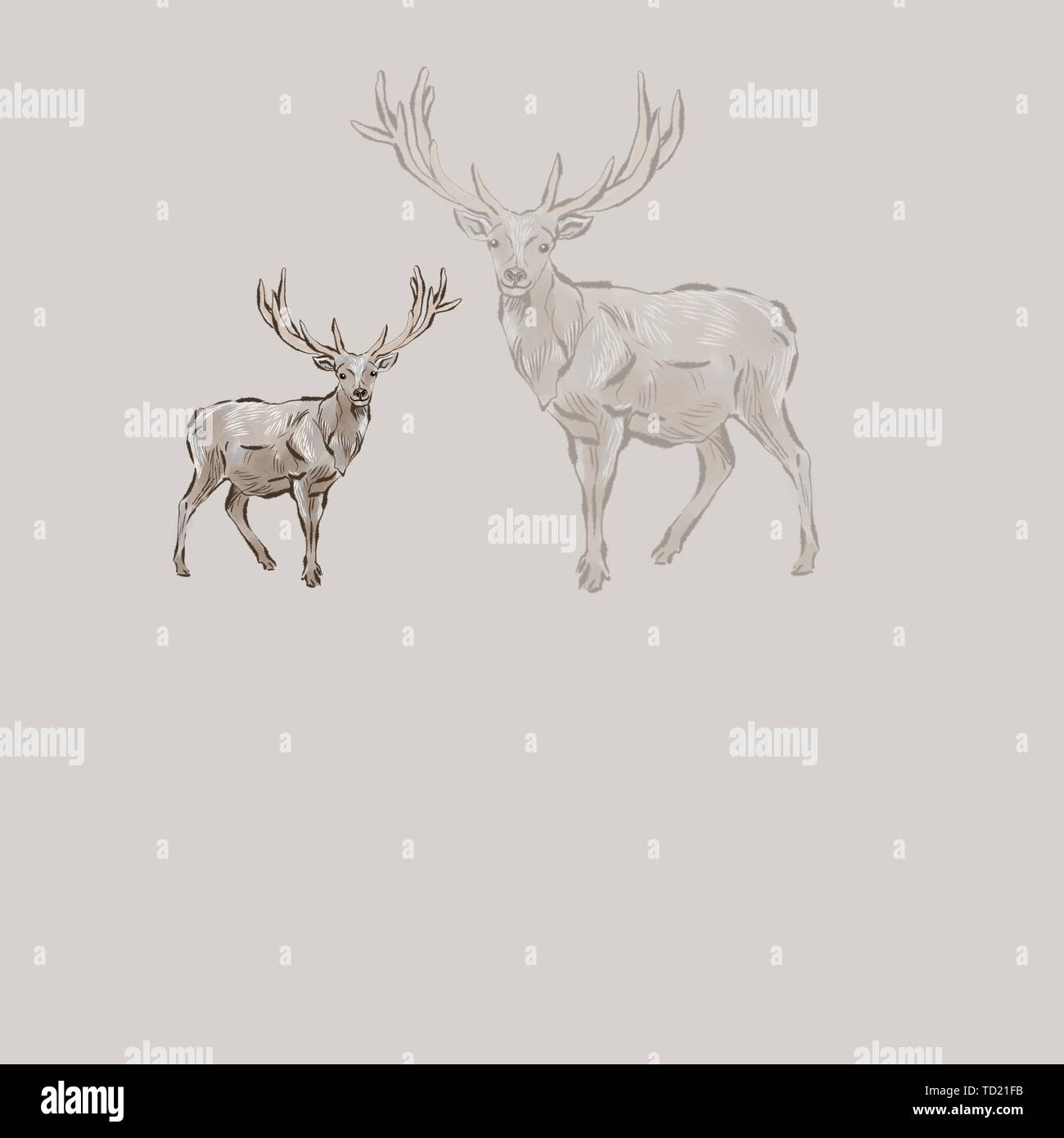 Stag drawing myth hi-res stock photography and images - Alamy