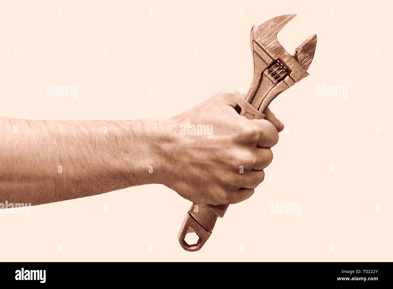 Hand holding adjustable wrench isolated on white background Stock Photo ...