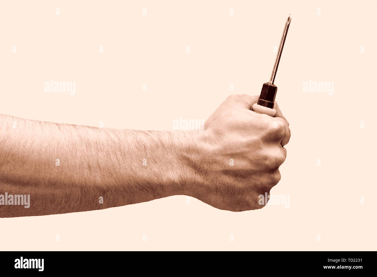 Hand holding screwdriver isolated on white background Stock Photo - Alamy