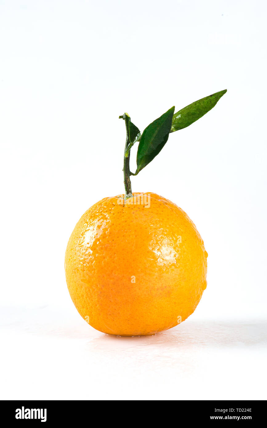Fresh fruit, oranges, oranges, no fire, ugly oranges Stock Photo - Alamy