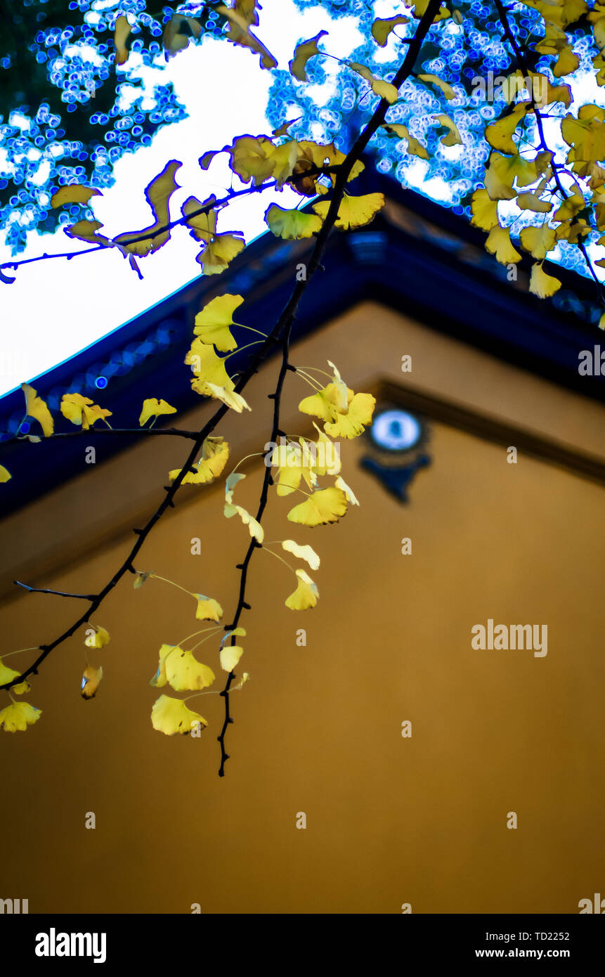 Autumn color of Huqiu, Suzhou Stock Photo - Alamy