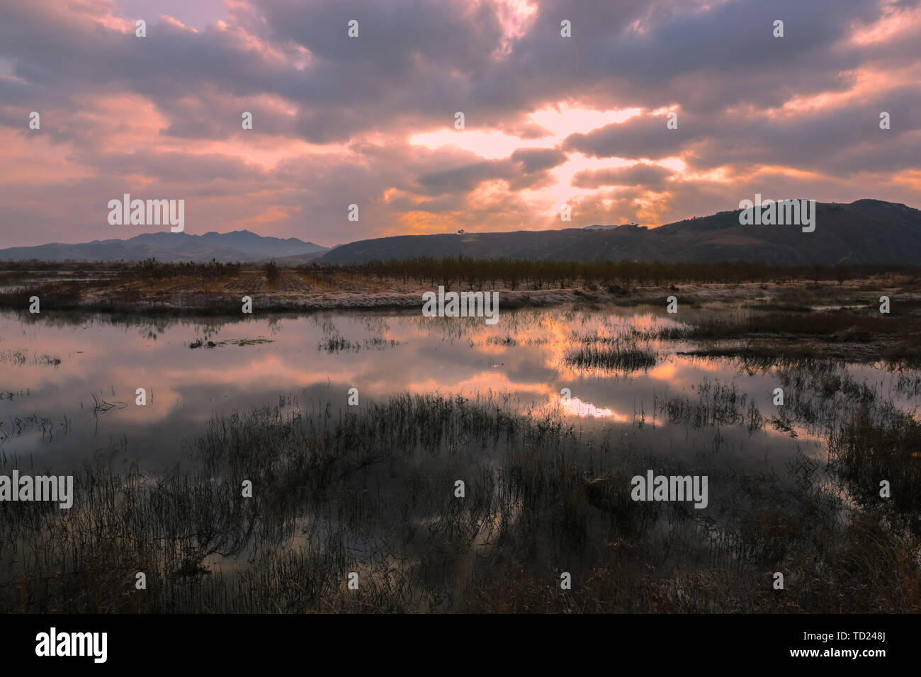 River wetlands sunset water reflection scenery Stock Photo - Alamy