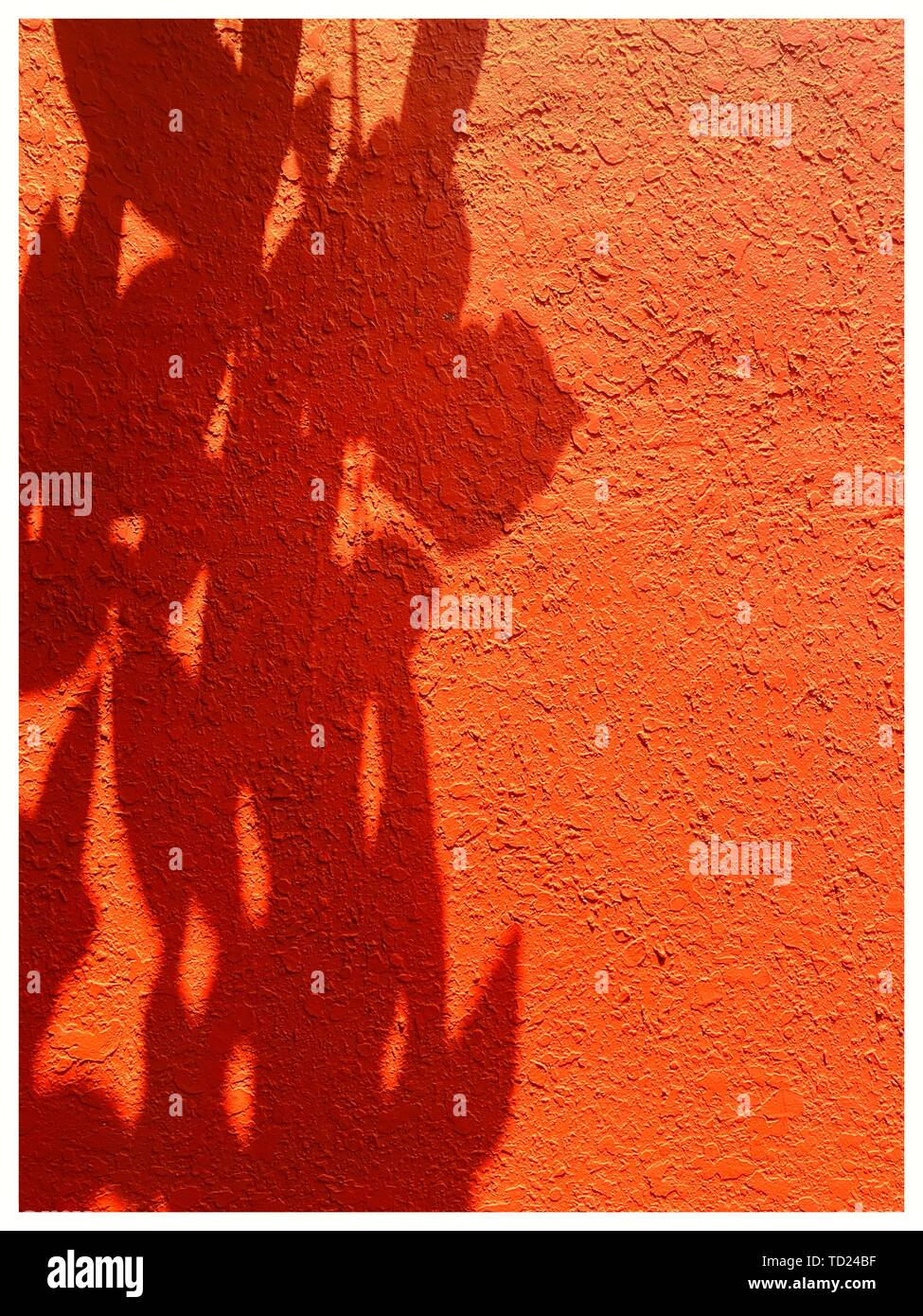 Design projected onto wall hi-res stock photography and images - Alamy