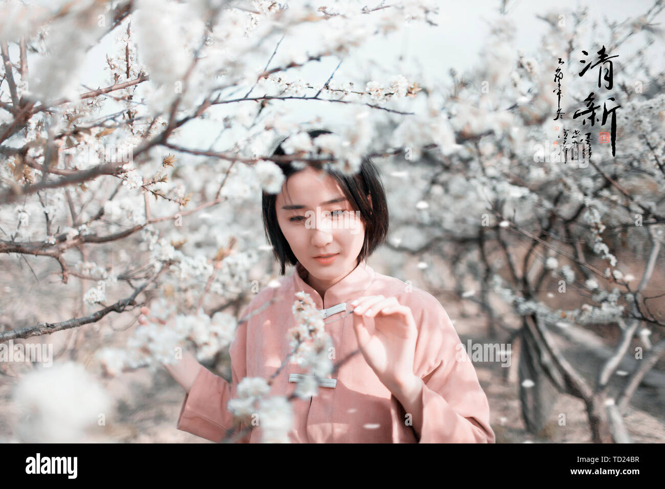 Li Yuan spring color Stock Photo - Alamy