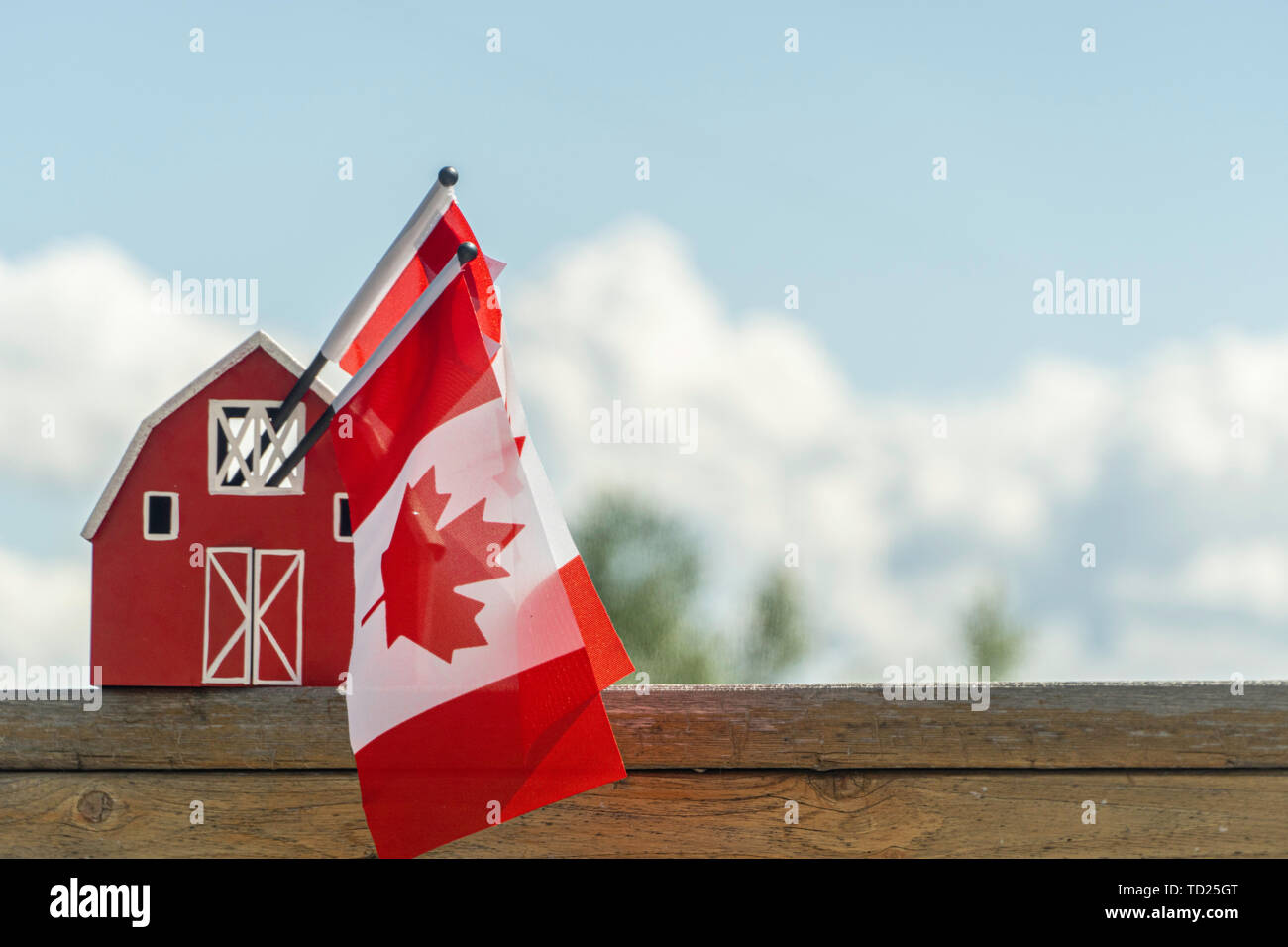 Red house with Canadian Maple Leaf Flag - Canada Day concept Stock ...