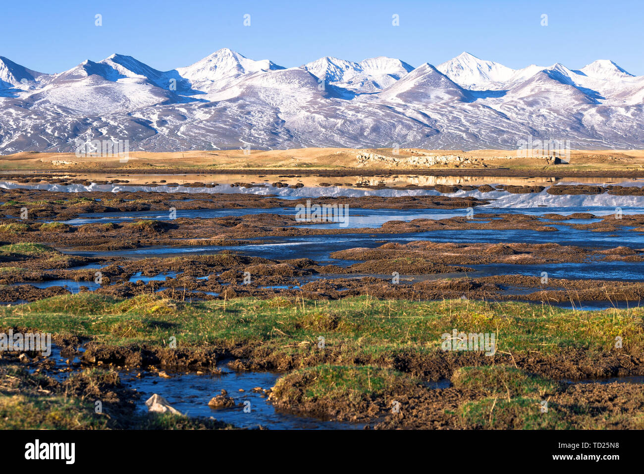 Autumn color palette hi-res stock photography and images - Alamy