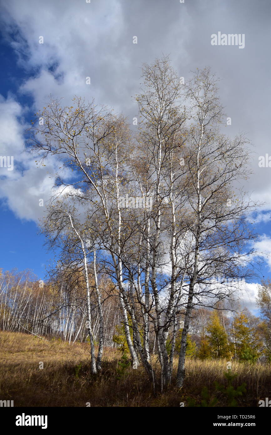 Saihan dam scenery Stock Photo - Alamy
