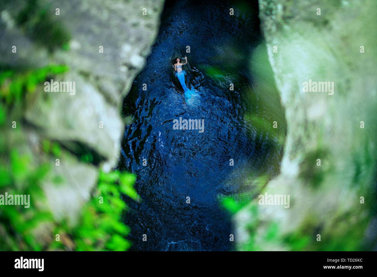 Mermaid bird hi-res stock photography and images - Alamy