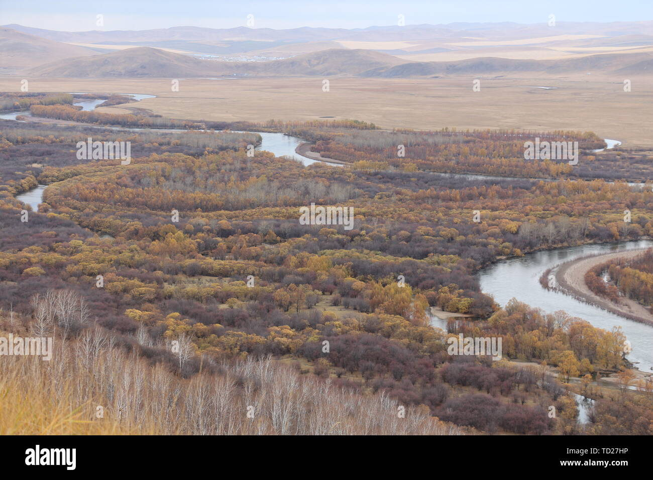 Erguna river and river forest hi-res stock photography and images - Alamy