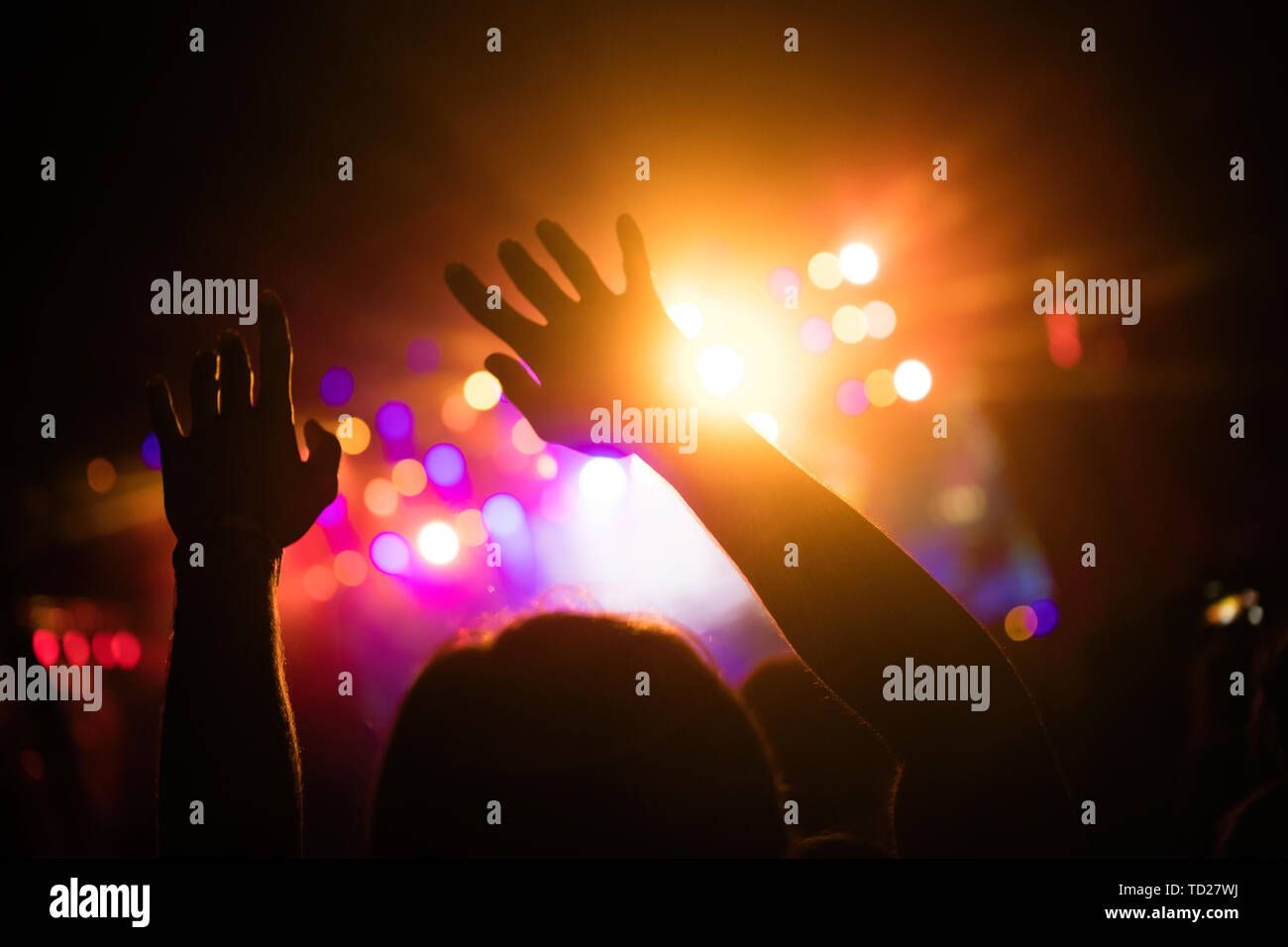 Picture of party people at music festival Stock Photo - Alamy