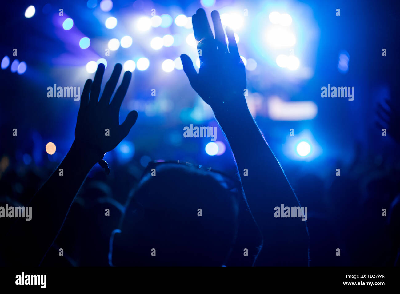 Picture of party people at music festival Stock Photo - Alamy