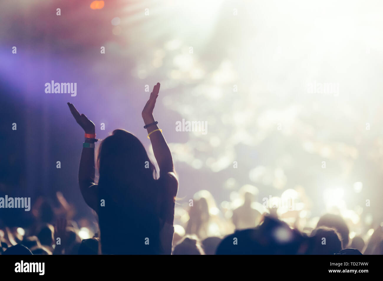 Picture of party people at music festival Stock Photo - Alamy
