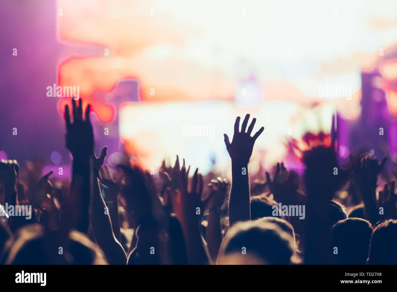Picture of party people at music festival Stock Photo - Alamy