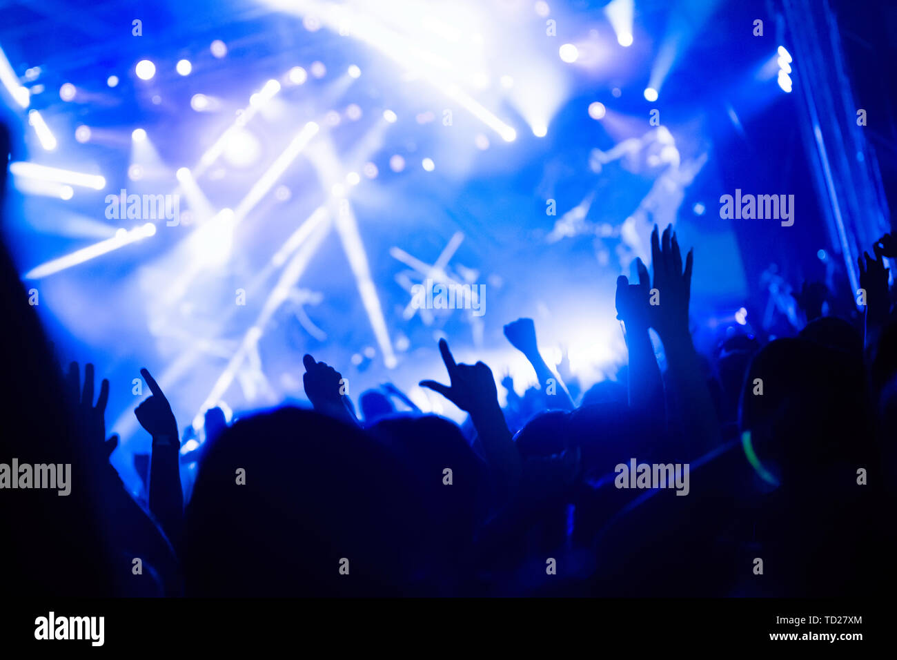 Picture of party people at music festival Stock Photo - Alamy