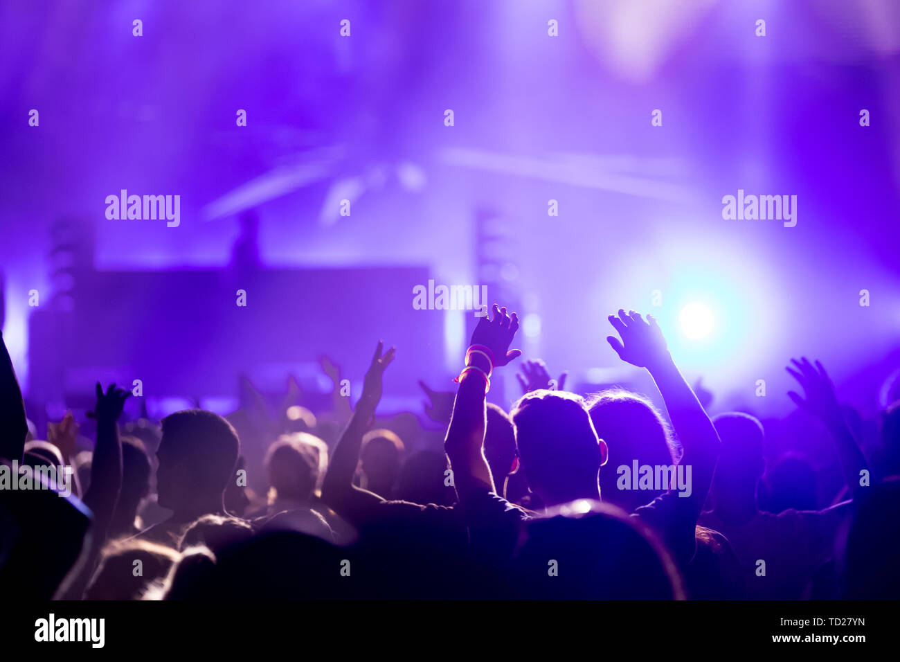 Picture of dancing crowd at music festival Stock Photo - Alamy