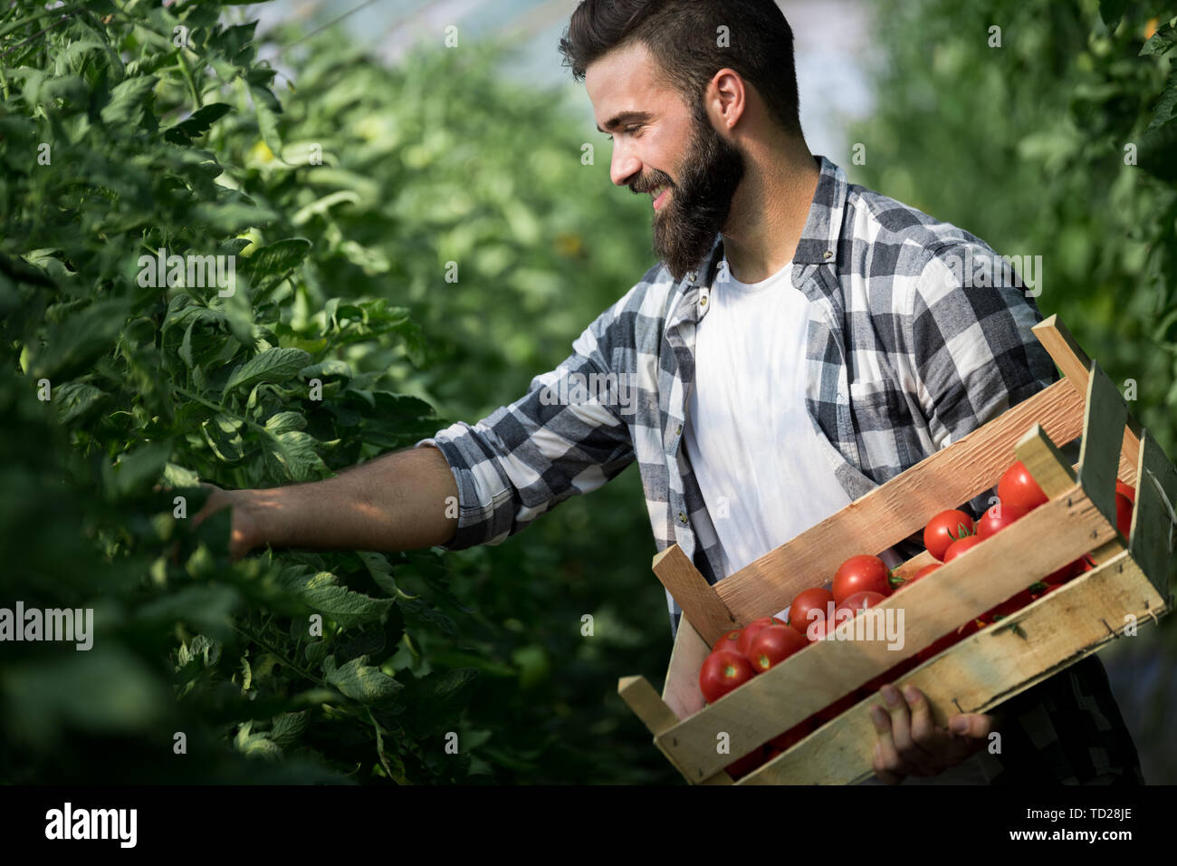 Worker harvest hi-res stock photography and images - Alamy