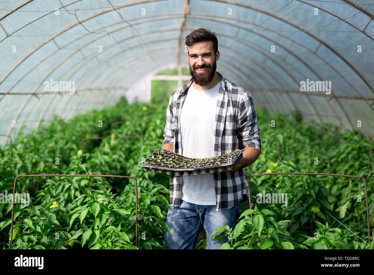 Man doing yard work hi-res stock photography and images - Alamy