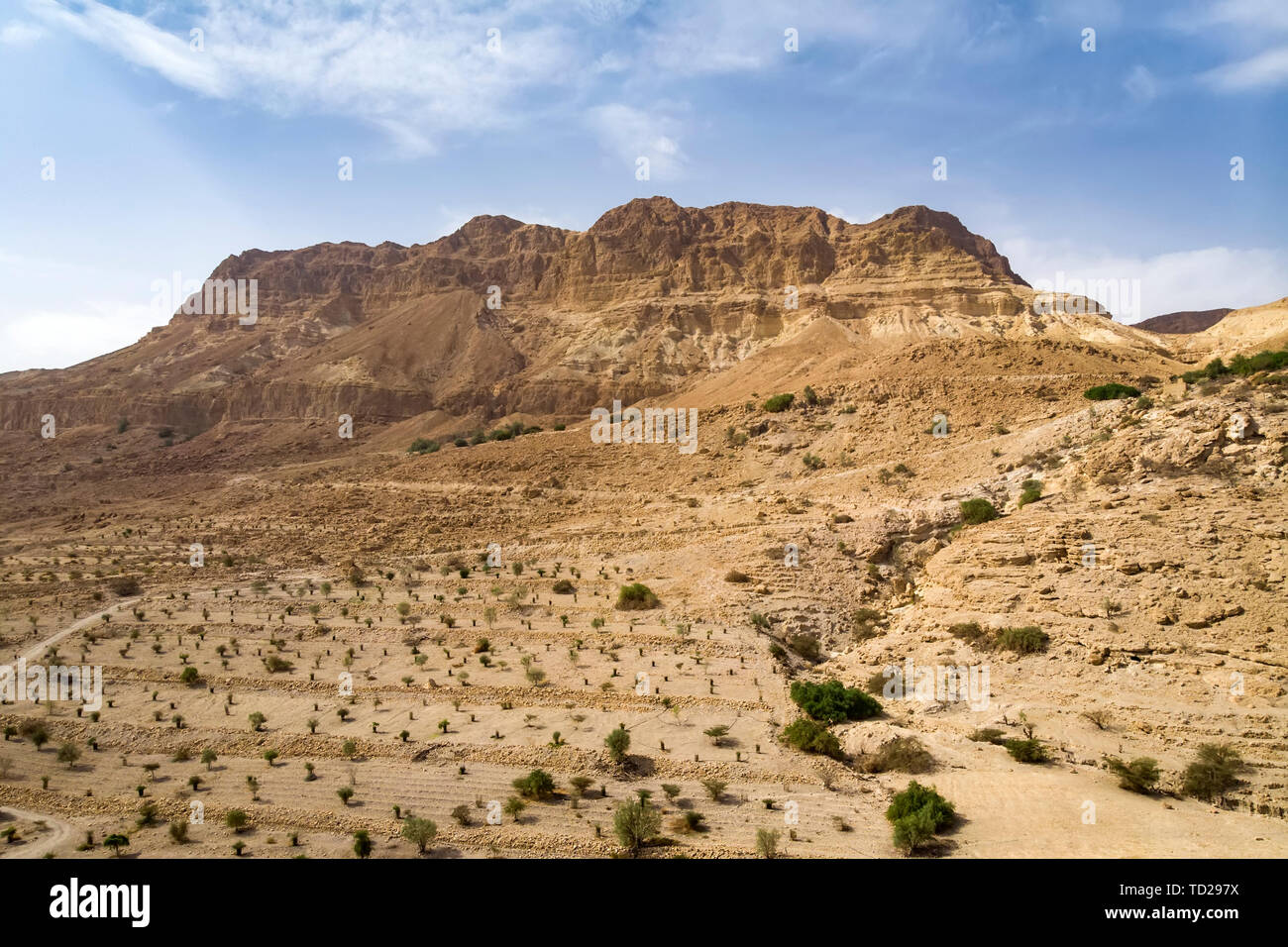 Desert farming israel hi-res stock photography and images - Alamy