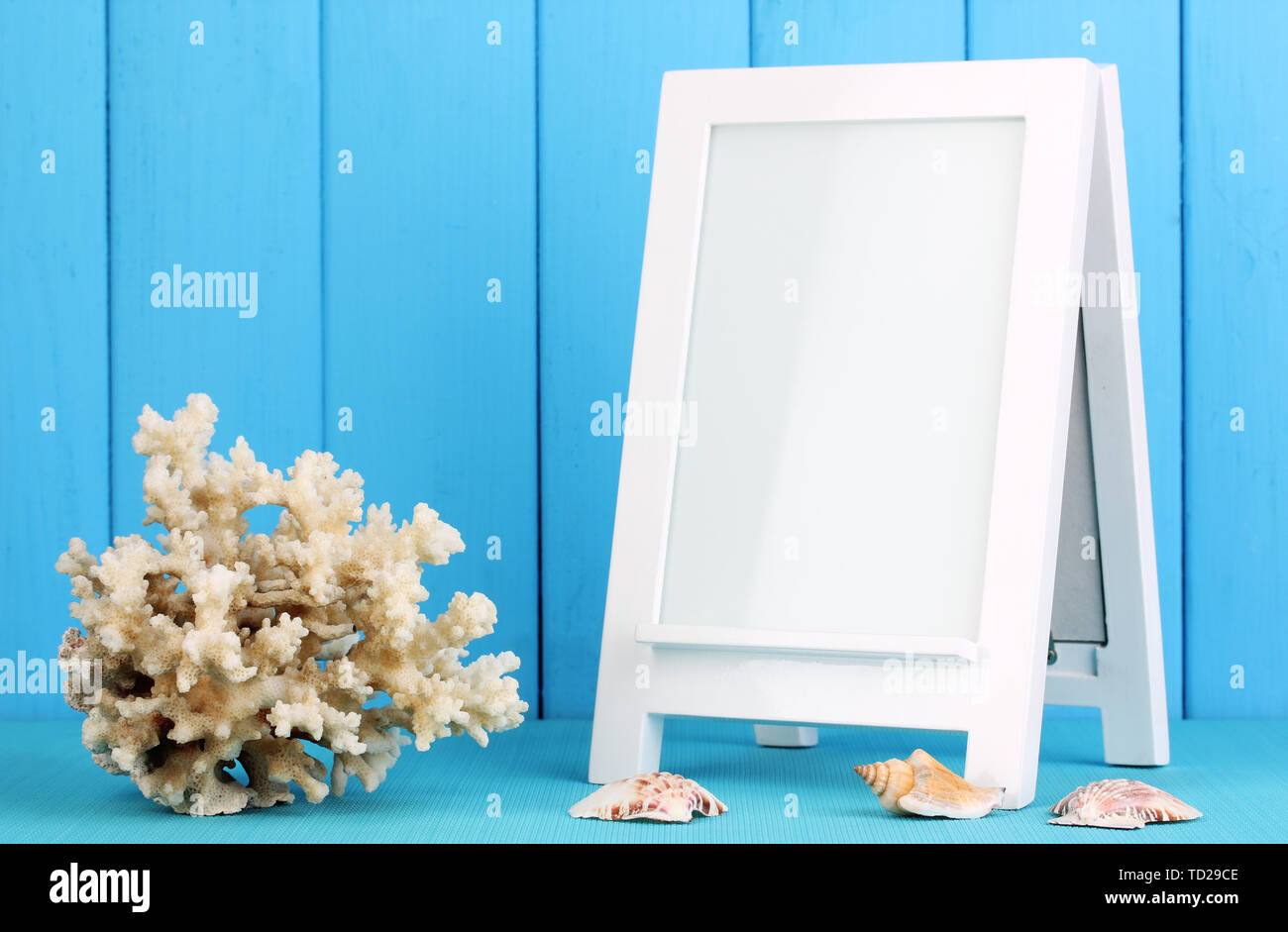 Framework of shells hi-res stock photography and images - Alamy