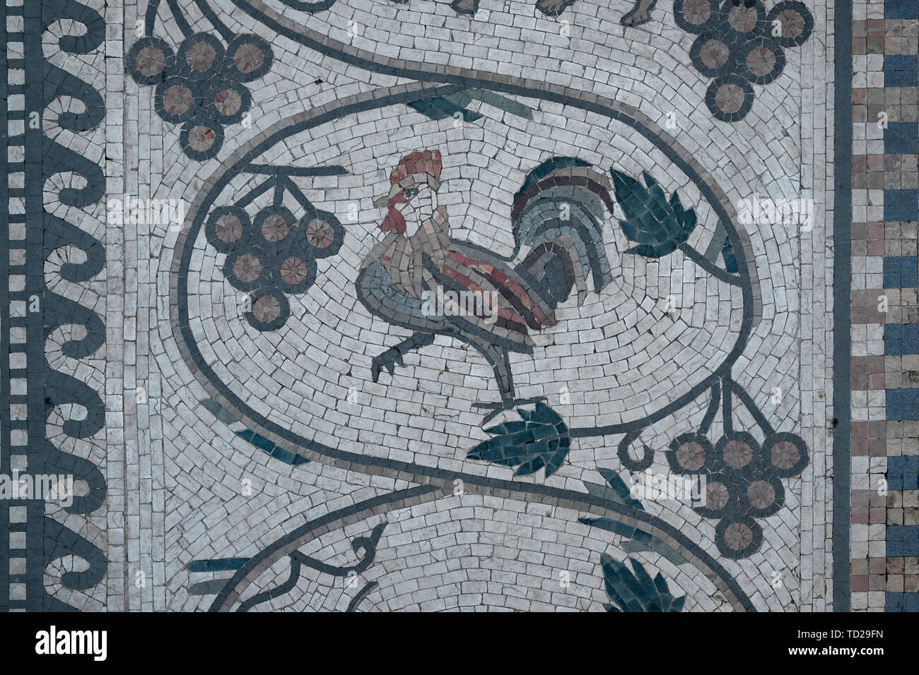 Floor mosaic with a figure of a rooster and grapes at the entrance to ...