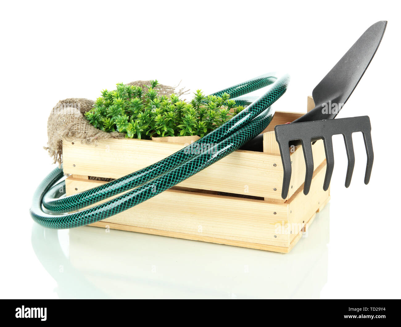 Transplant tree garden tools hi-res stock photography and images - Alamy