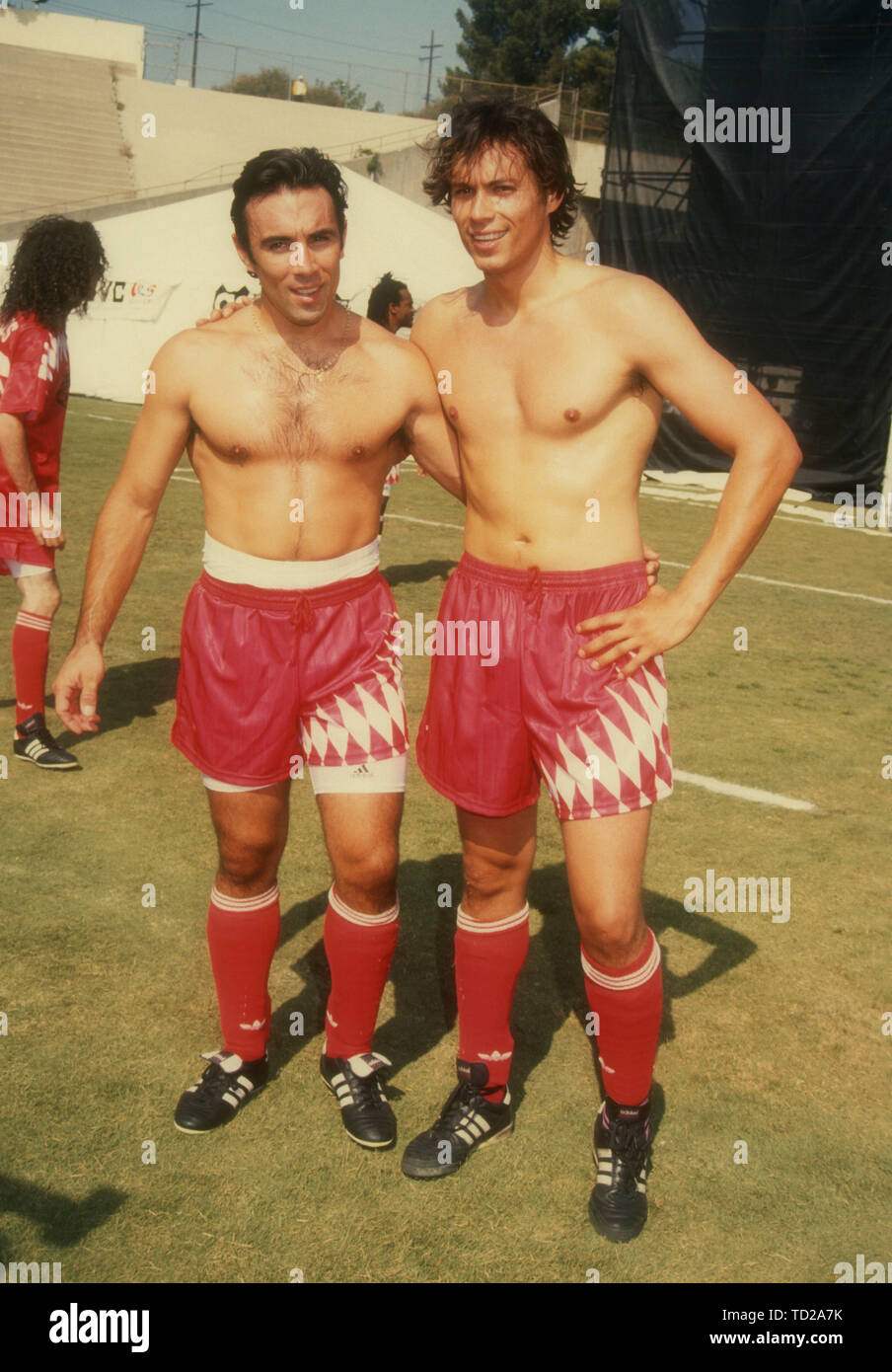 Los Angeles, California, USA 9th July 1994 Actors/brothers Francesco ...