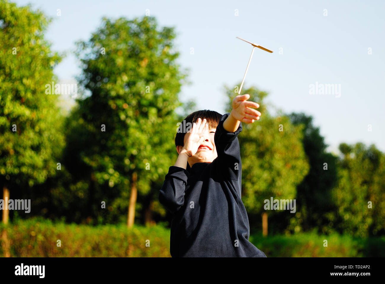 Homemade bamboo dragonfly Stock Photo - Alamy