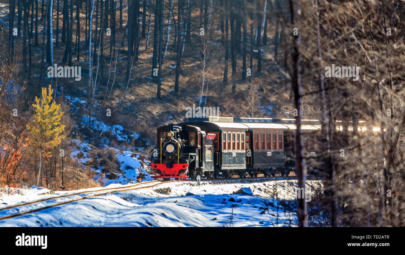 Small forest train Stock Photo - Alamy