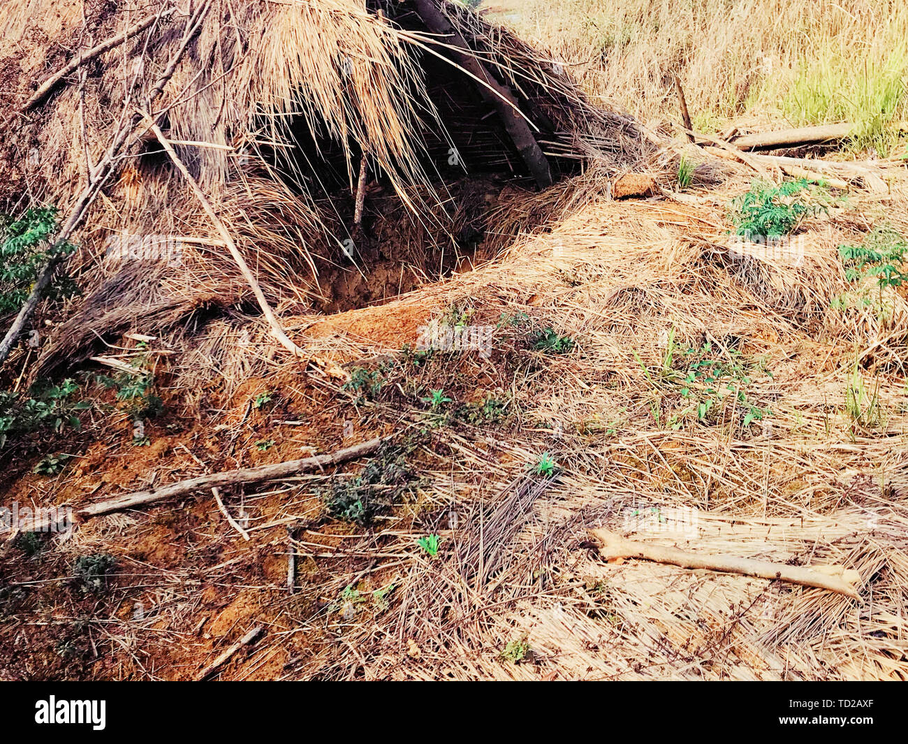 Bullpen High Resolution Stock Photography and Images - Alamy