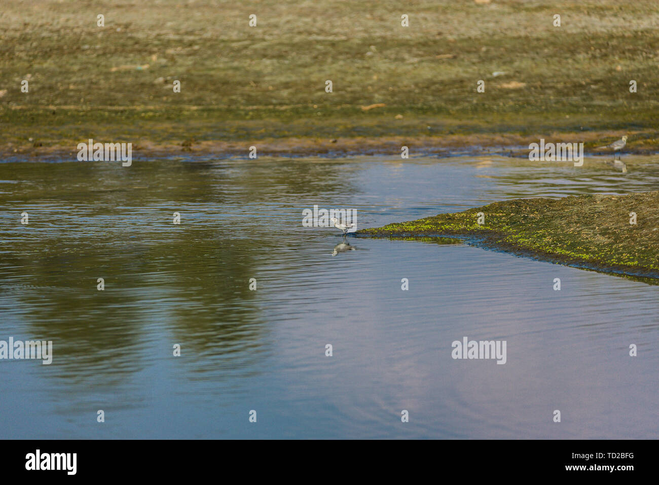 Rivers and rivers no one reflects tourism hi-res stock photography and ...