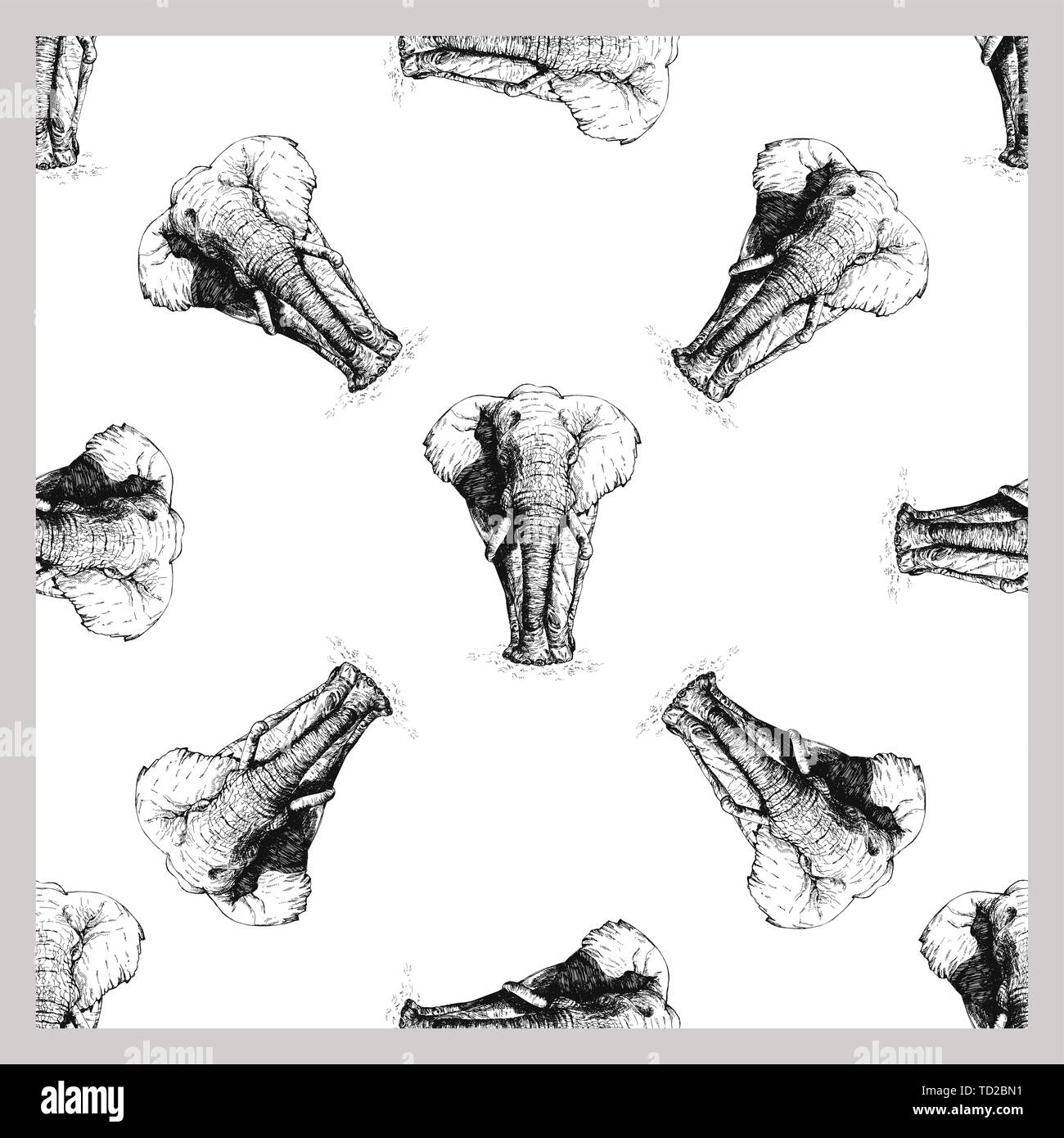 Seamless pattern of hand drawn sketch style elephant isolated on white ...