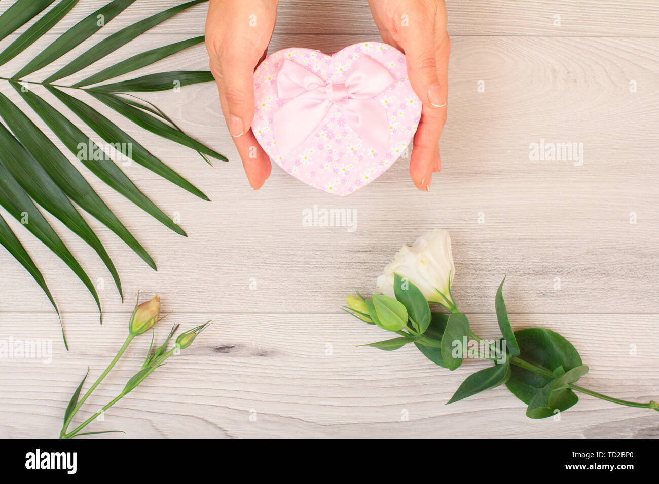 Women's hands holding a gift box on gray wooden background with ...