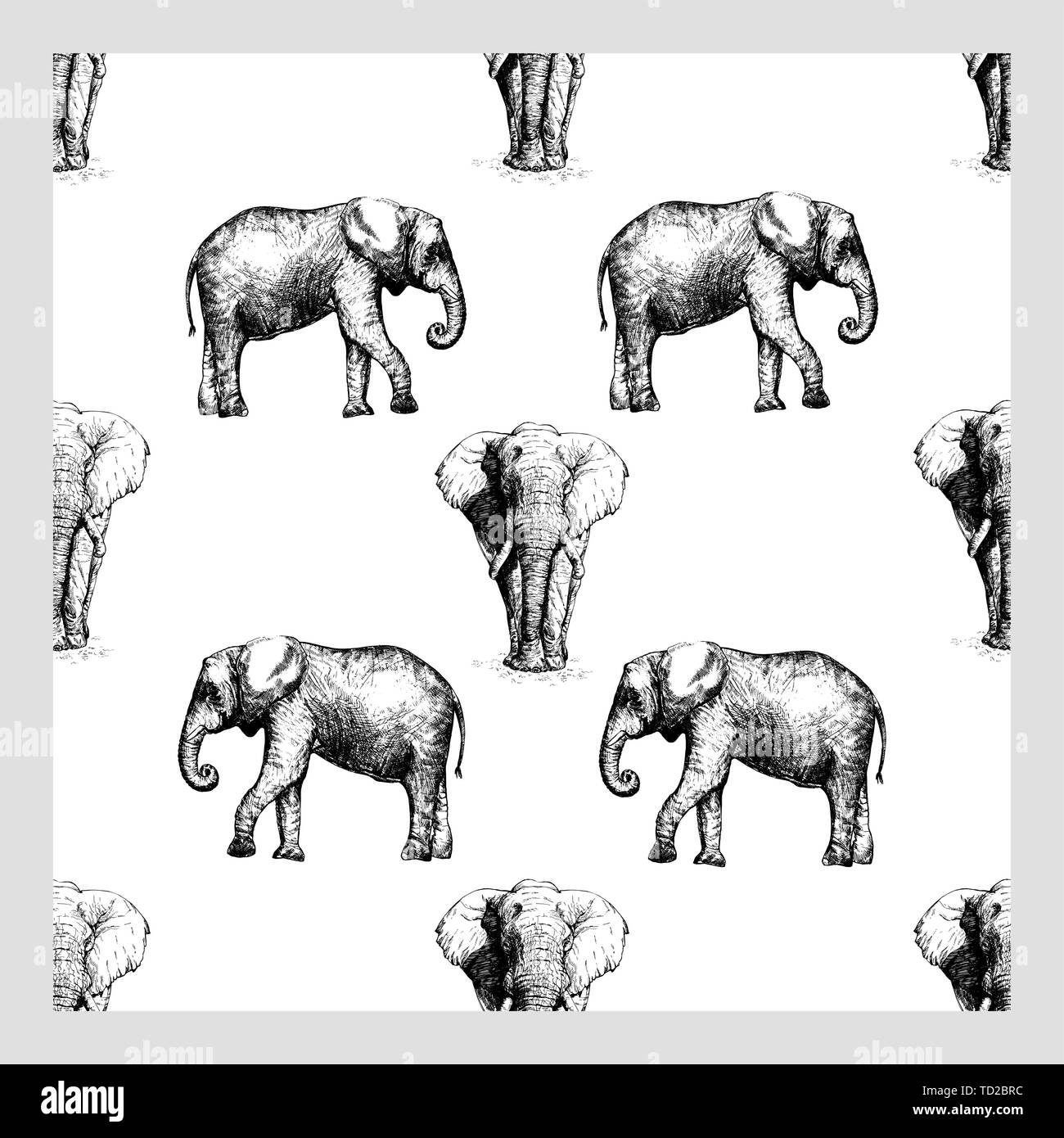 Seamless pattern of hand drawn sketch style elephant isolated on white ...