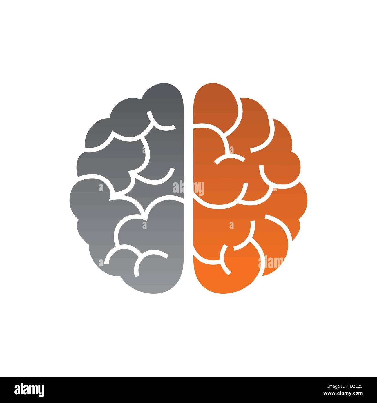 Human brain vector hi-res stock photography and images - Alamy