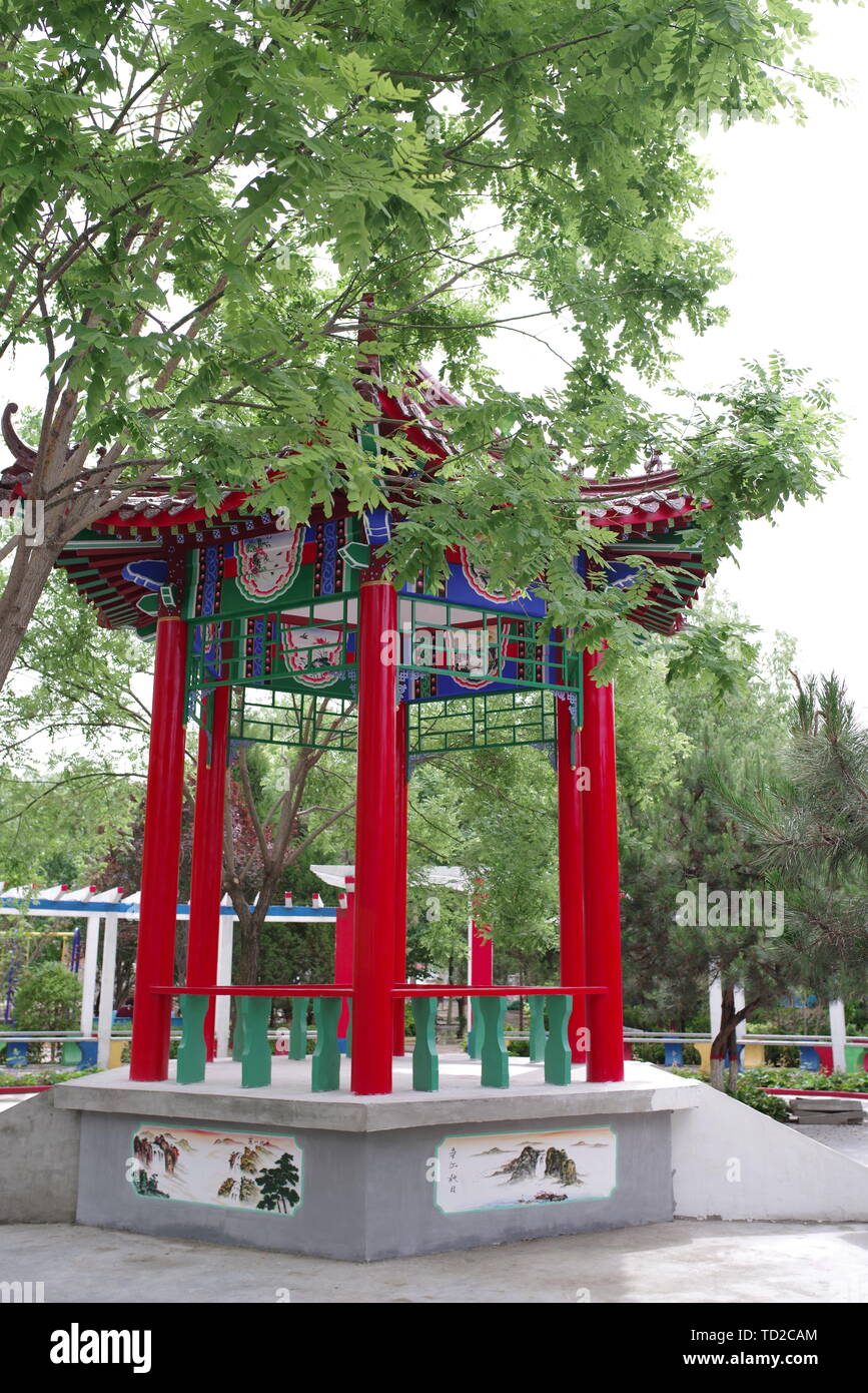 Dandelions fields hi-res stock photography and images - Alamy