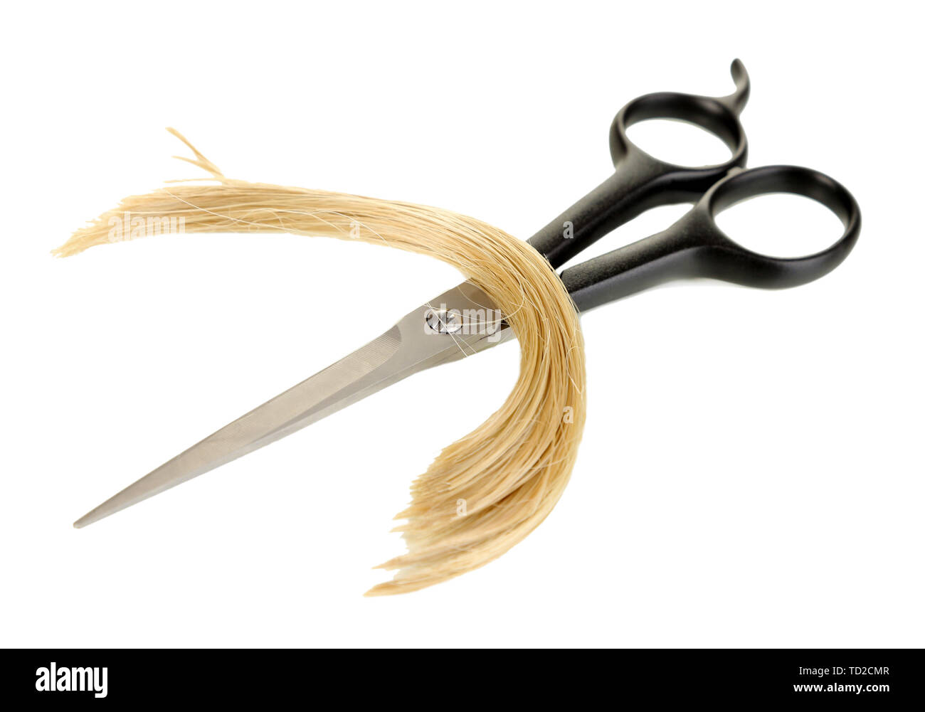 Pieces of hair cut with scissors isolated on white Stock Photo - Alamy