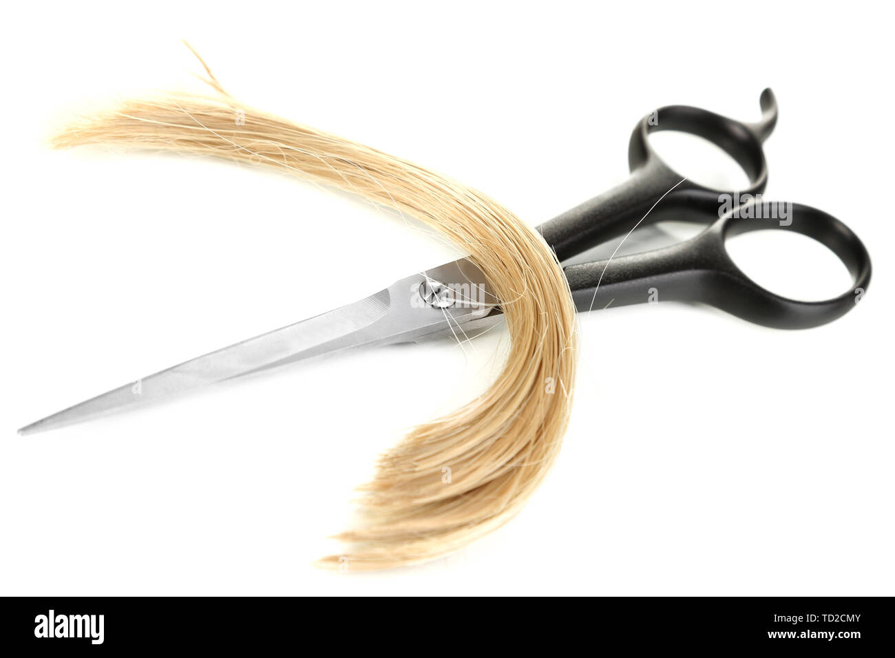 Pieces of hair cut with scissors isolated on white Stock Photo - Alamy