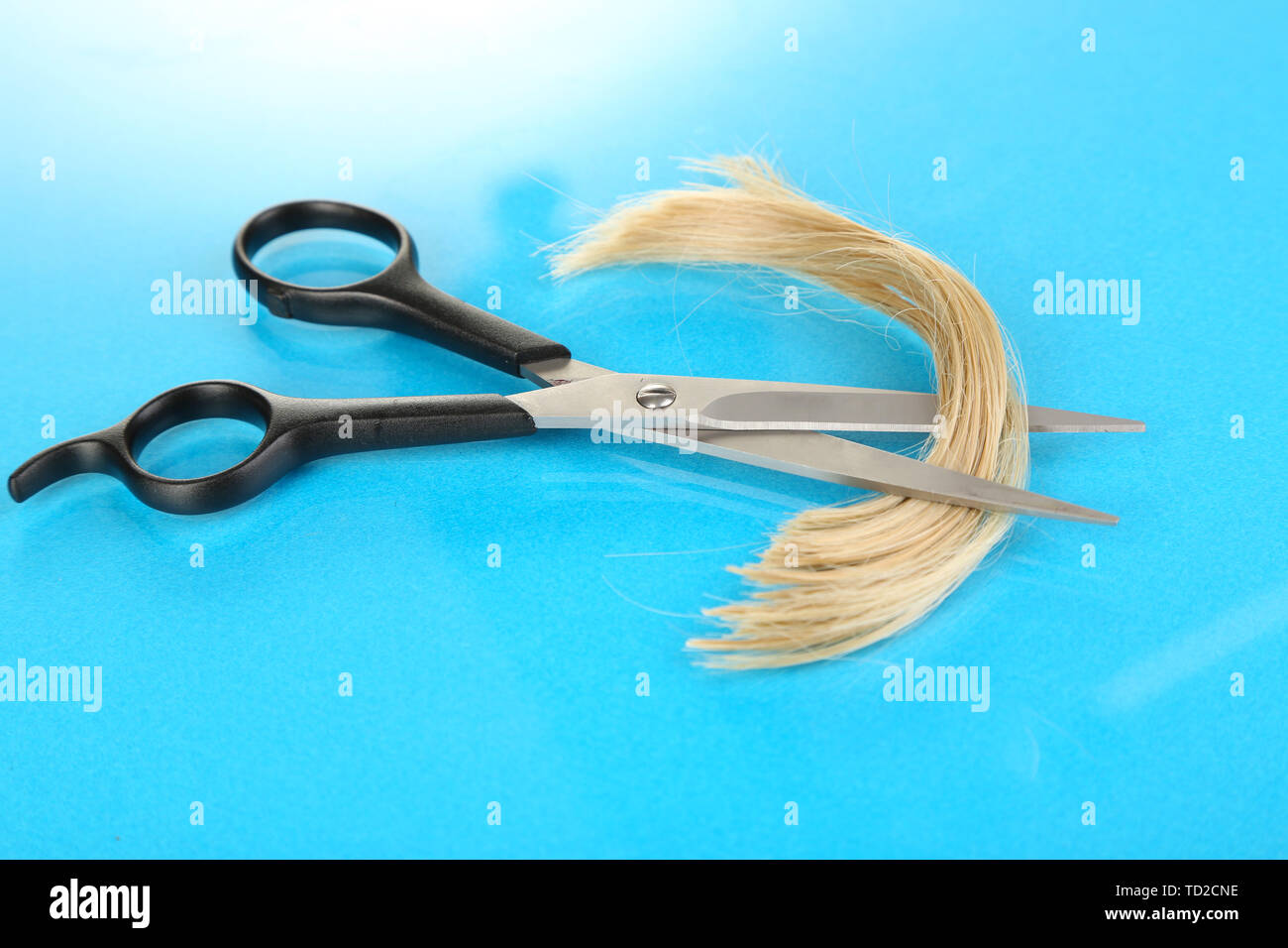 Pieces of hair cut with scissors on blue background Stock Photo - Alamy