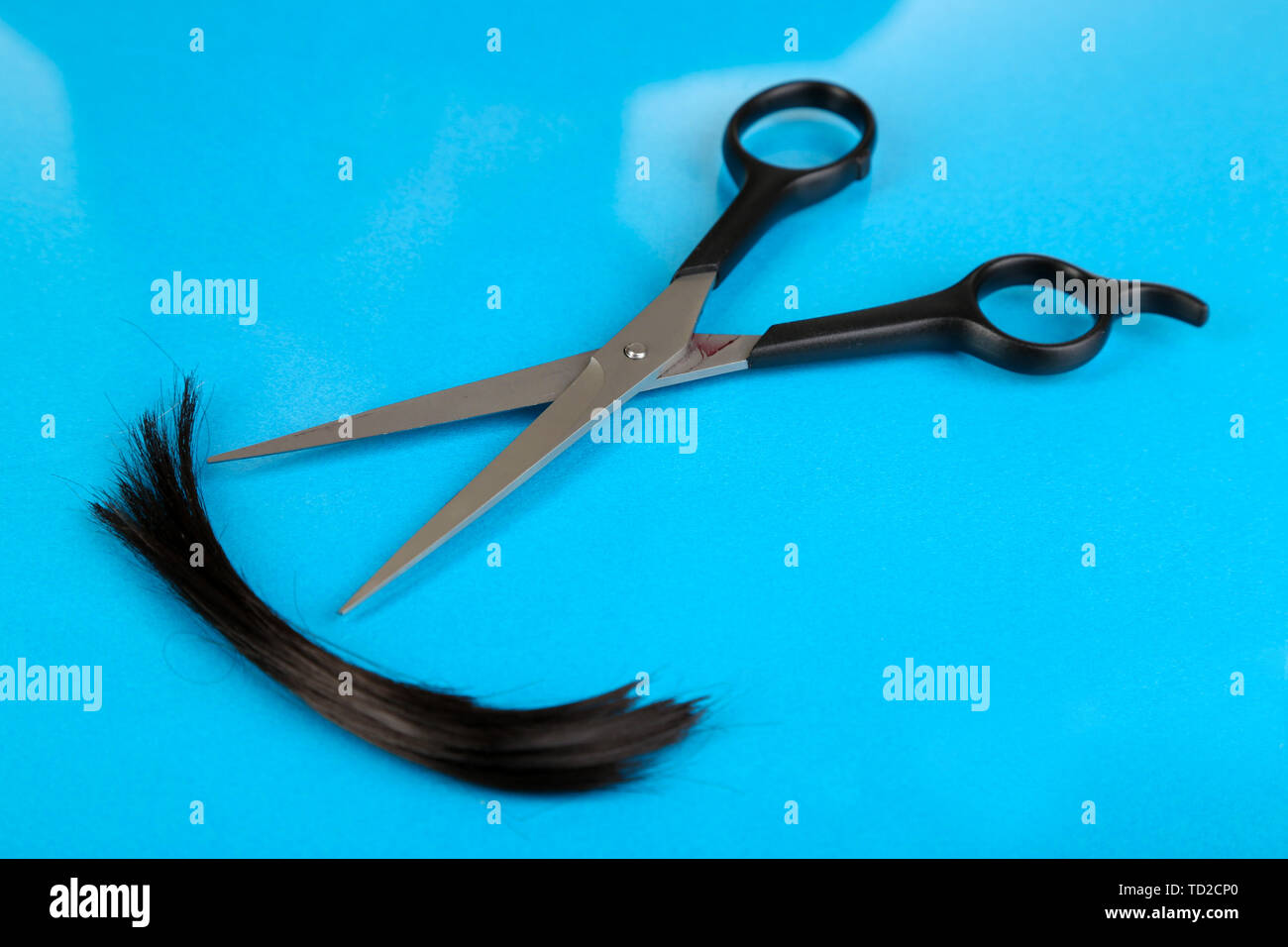 Pieces of hair cut with scissors on blue background Stock Photo - Alamy