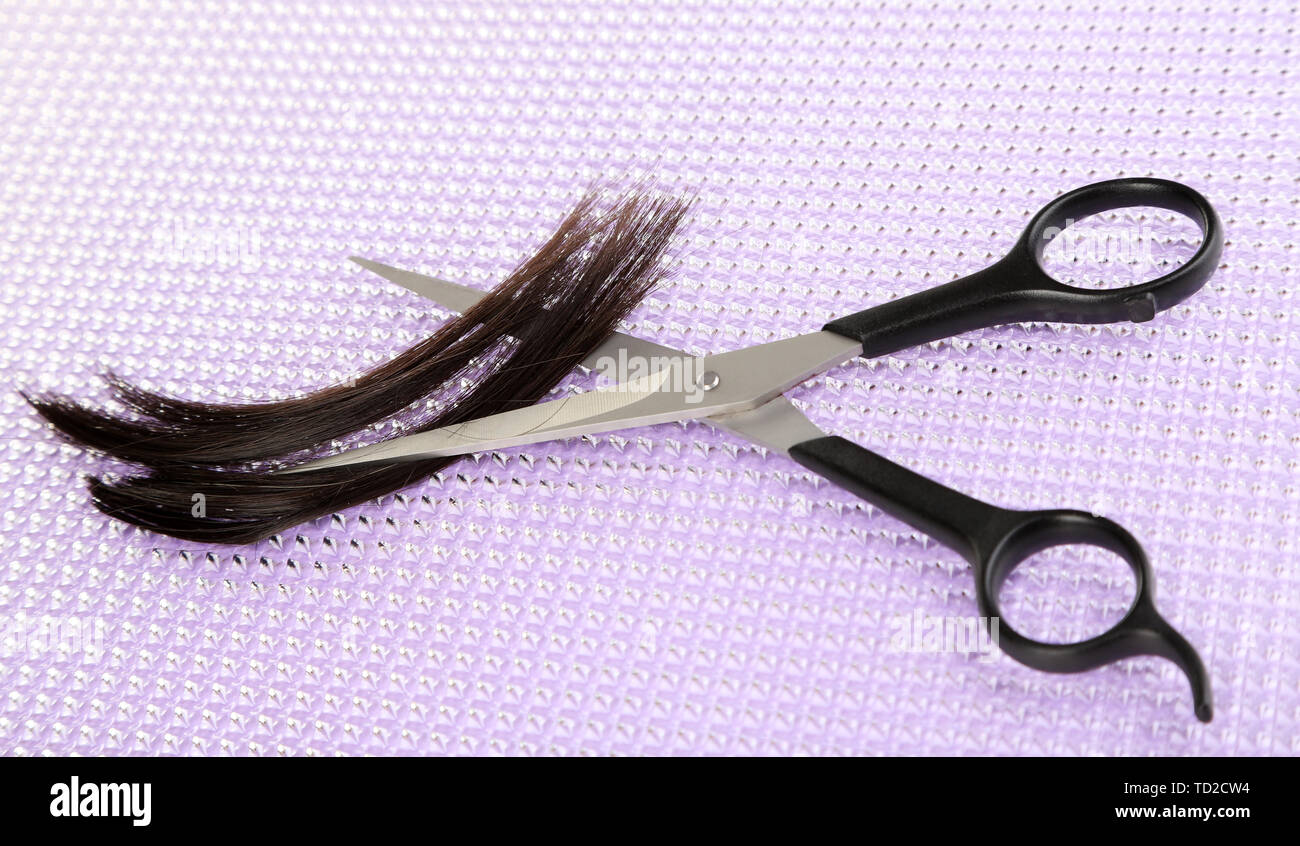 Pieces of hair cut with scissors on purple background Stock Photo - Alamy
